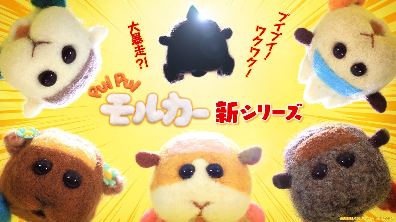 《PUI PUI 天竺鼠車車》新作動畫秋季開播 | 4Gamers