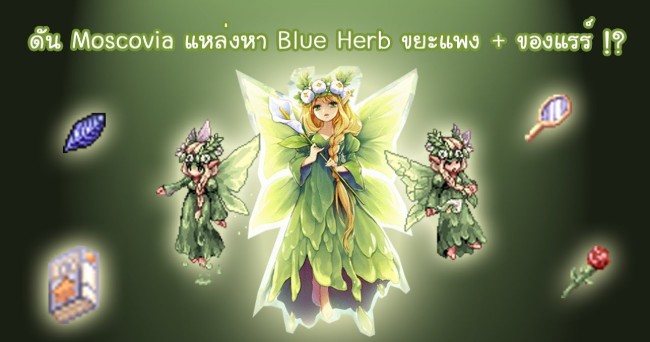 Ragnarok Online Gravity แนะนำแมพหาเงินสุดแจ่ม ใครอยากเป็นเศรษฐีห้ามพลาด ...