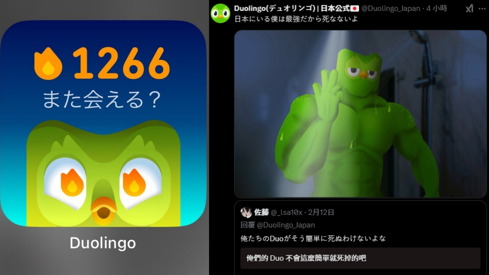 Duolingo's Mascot Duo "Dies"; Japan Duo Responds - NewsyList